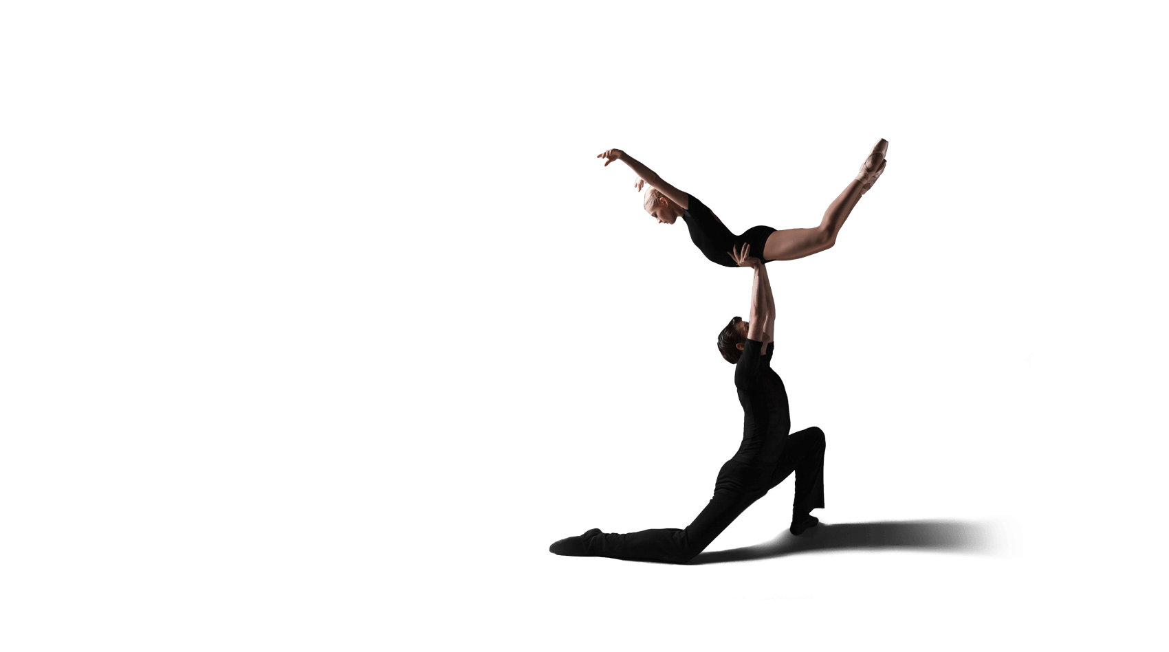 PerioChip® | Zuverlässig in der Parodontitis Therapie